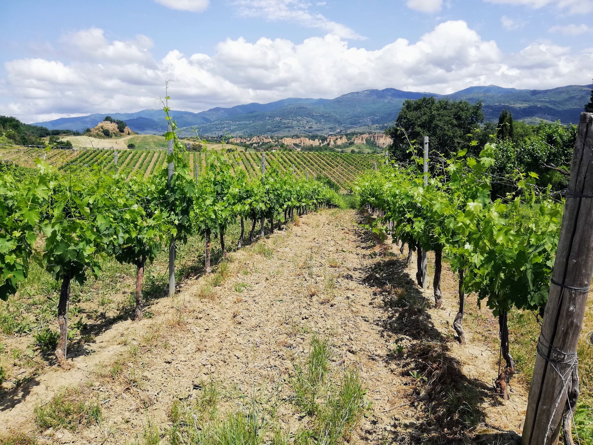 Agriturismo Le Balze - Nature Travel Lab