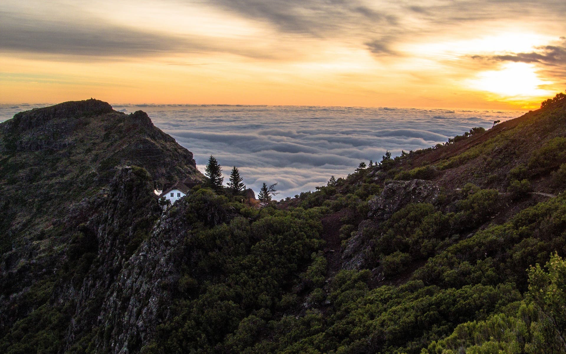 Natuur Madeira: de mooiste plekjes - Nature Travel Lab