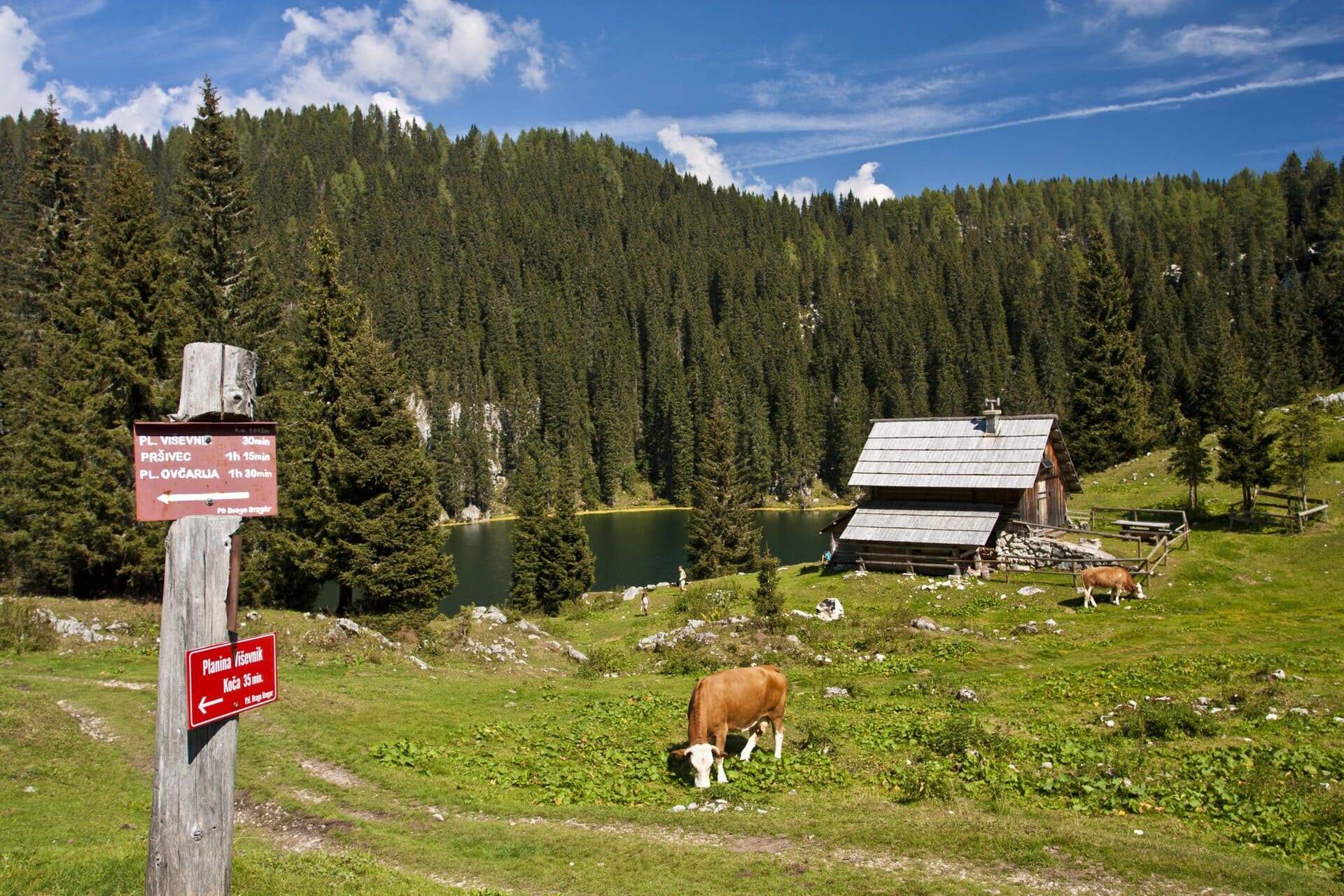 Sloveense Alpen in 8-daagse wandelreis - Nature Travel Lab