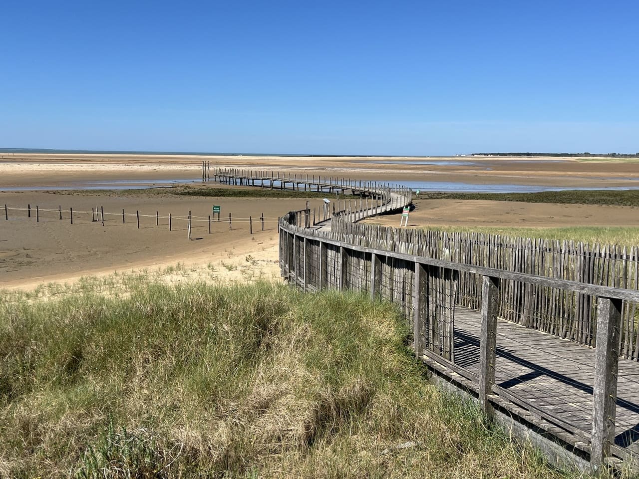 Waddenkust Groningen en Friesland - Nature Travel Lab