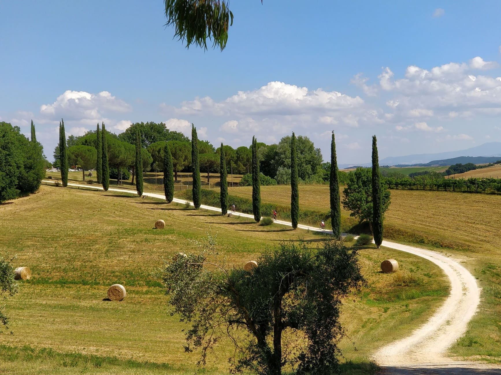 8-daagse wandelvakantie Val d'Orcia - Nature Travel Lab